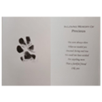 Paw Prints & Presentation Packs Archives - Pets